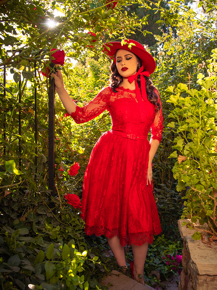 Mourning Dress in Crimson Lace | Gothic Glamour Clothing – La Femme En Noir