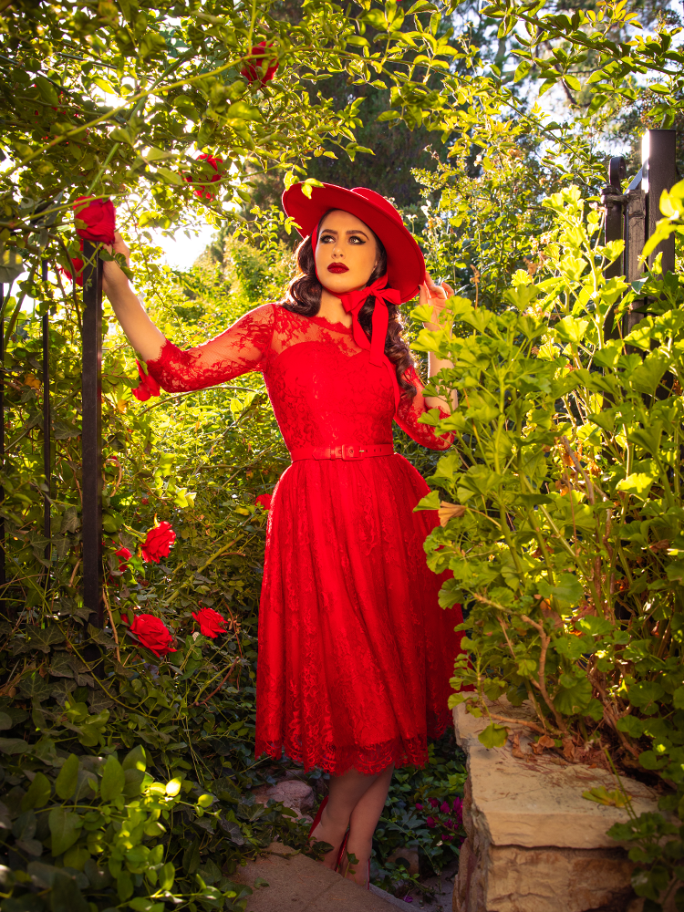 Mourning Dress in Crimson Lace | Gothic Glamour Clothing – La Femme En Noir