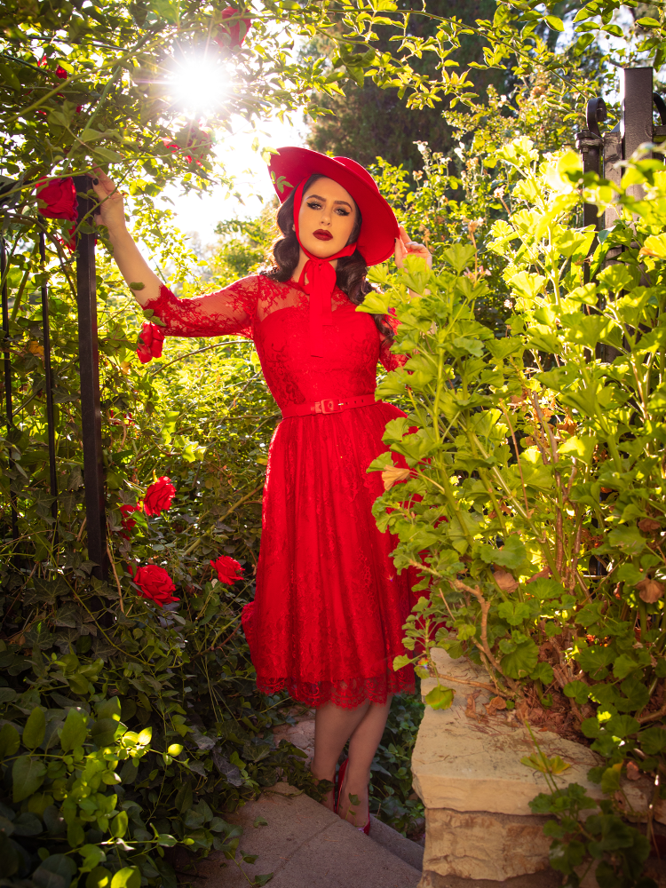 Mourning Dress in Crimson Lace | Gothic Glamour Clothing – La Femme En Noir